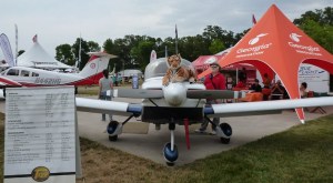 True Flight Aerospace | Home of the Grumman Tiger and its kin!